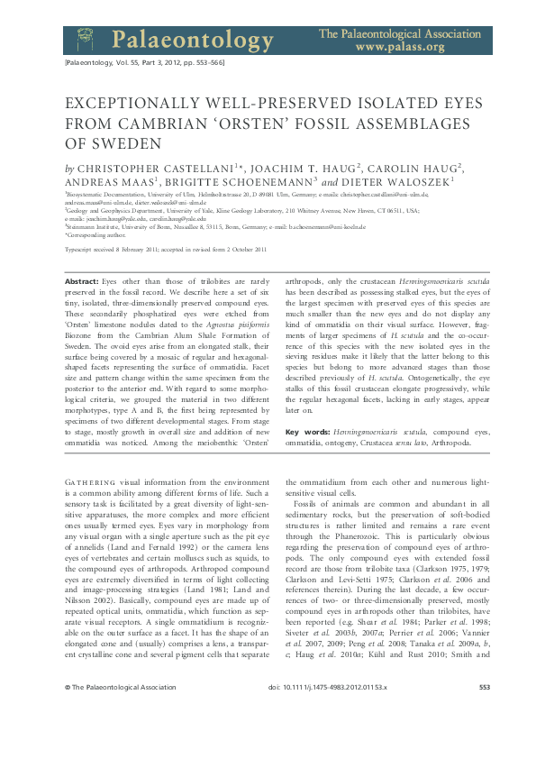 (PDF) Exceptionally well-preserved isolated eyes from Cambrian 'Orsten ...