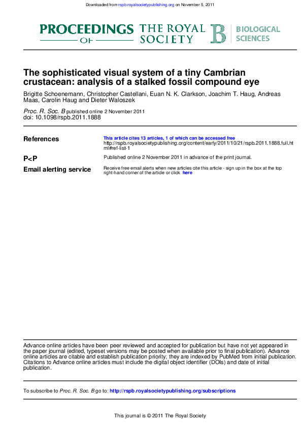 (PDF) The sophisticated visual system of a tiny Cambrian crustacean ...