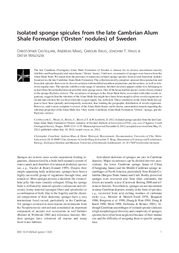 (PDF) Isolated sponge spicules from the late Cambrian Alum Shale ...