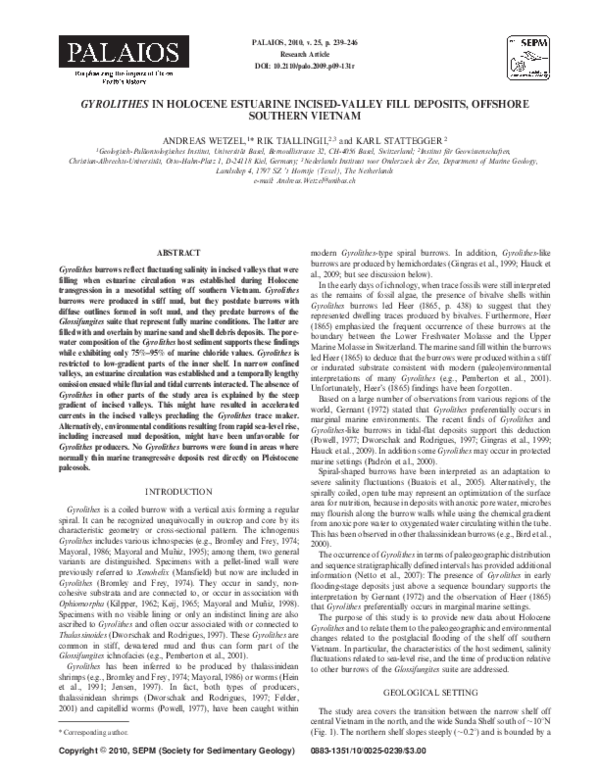 (PDF) Gyrolithes in Holocene estuarine incised-valley fill deposits ...