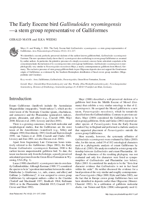 (PDF) The Early Eocene bird Gallinuloides wyomingensis-a stem group ...