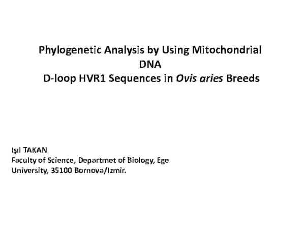 (PPT) Phylogenetic Analysis by Using Mitochondrial DNA D-loop HVR1 ...