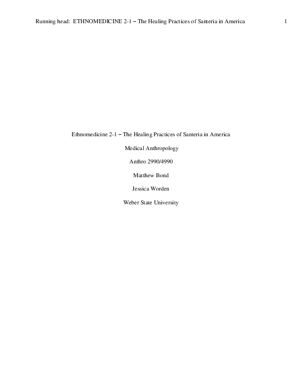 (DOC) The Healing Practices of Santería in America | Matthew R Bond ...