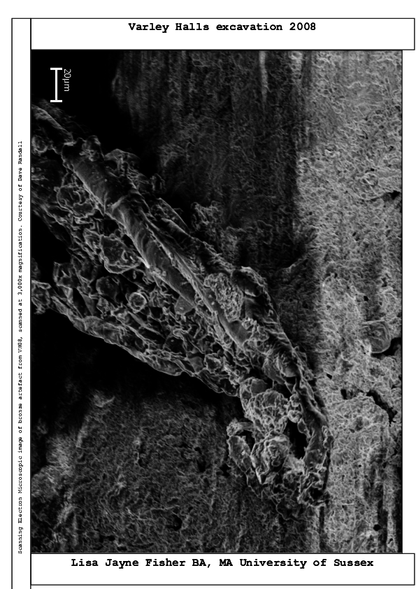 (PDF) Varley Halls excavation 2008 - a Bronze Age field system in Brighton