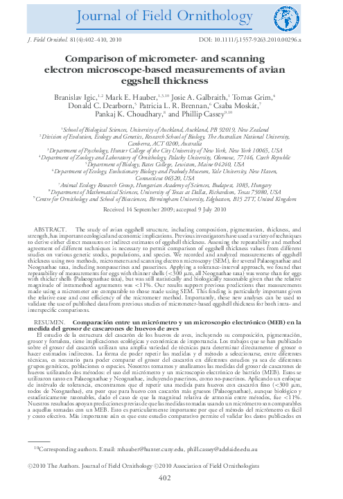 (PDF) Comparison of micrometer‐and scanning electron microscope‐based ...