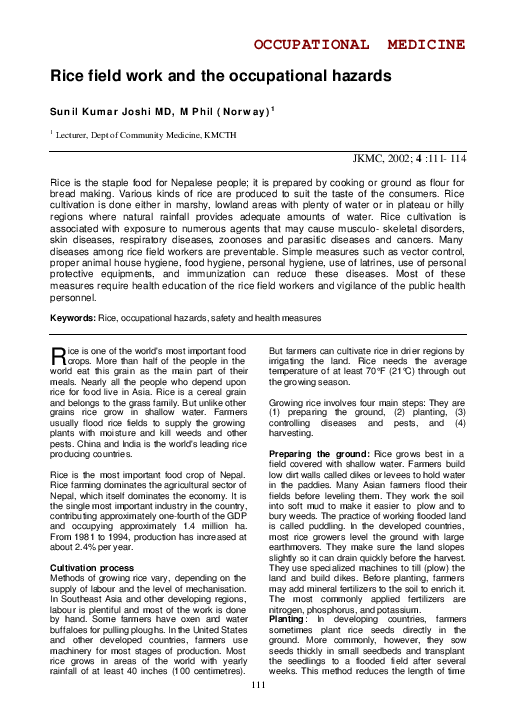 (PDF) Rice field work and the occupational hazards