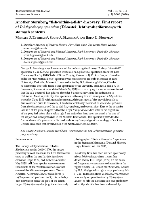 (PDF) Another Sternberg “fish-within-a-fish” discovery: First report of ...