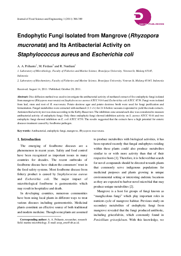 (PDF) Endophytic Fungi Isolated from Mangrove (Rhyzoporamucronata) and Its Antibacterial ...