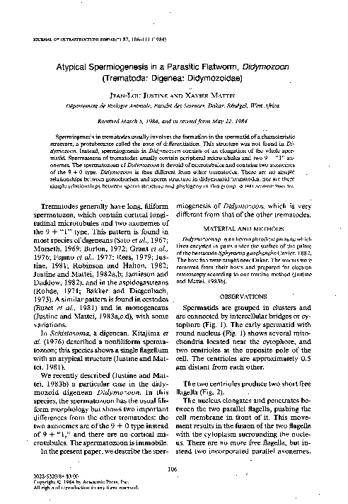 (PDF) Atypical spermiogenesis in a parasitic flatworm, Didymozoon ...