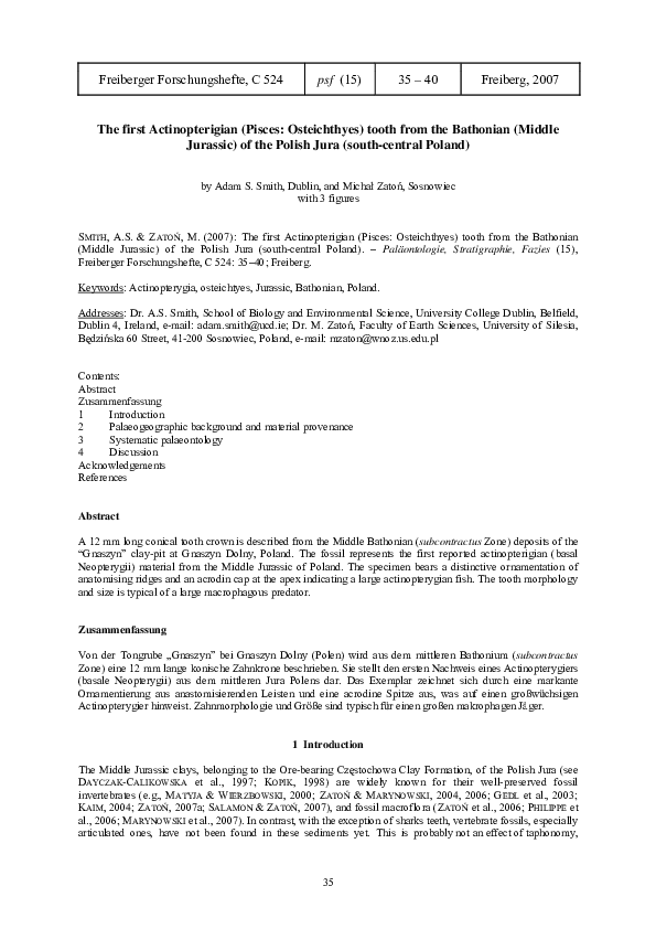 (PDF) The first Actinopterigian (Pisces: Osteichthyes) tooth from the ...