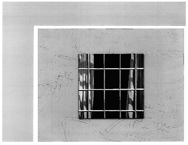 (PDF) Painting the Window