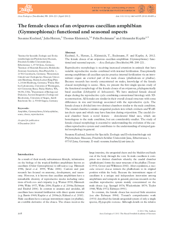 (PDF) The female cloaca of an oviparous caecilian amphibian ...