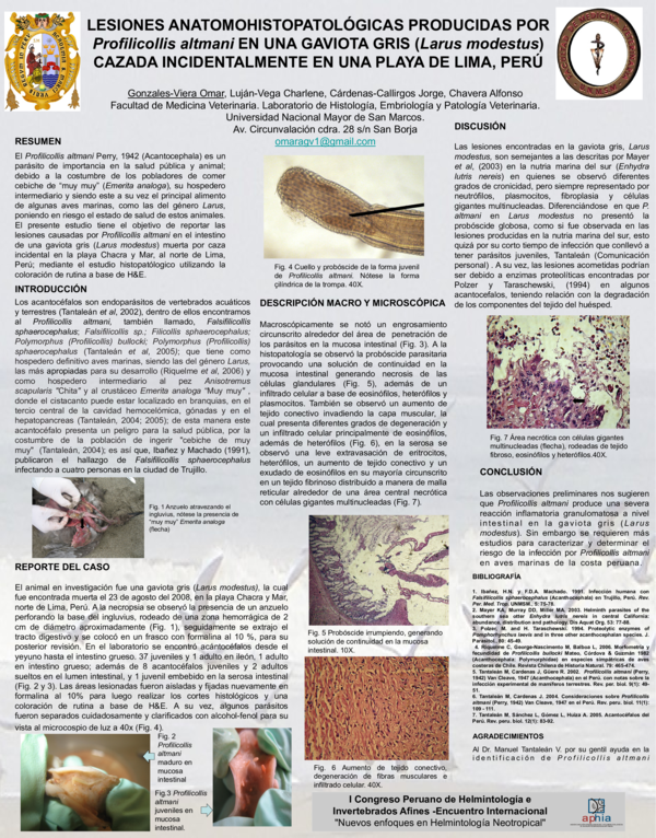 (PDF) Lesiones anatomohistopatológicas producidas por Profilicollis ...