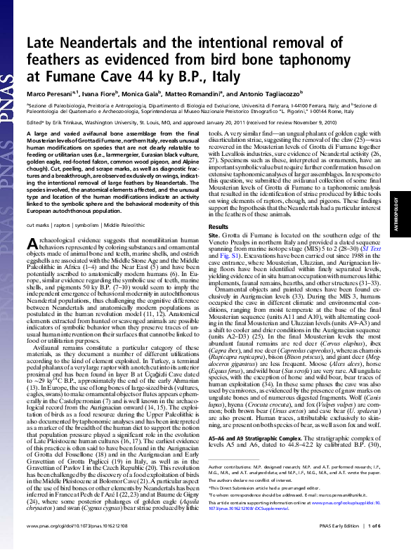 (PDF) Late Neandertals and the intentional removal of feathers as ...