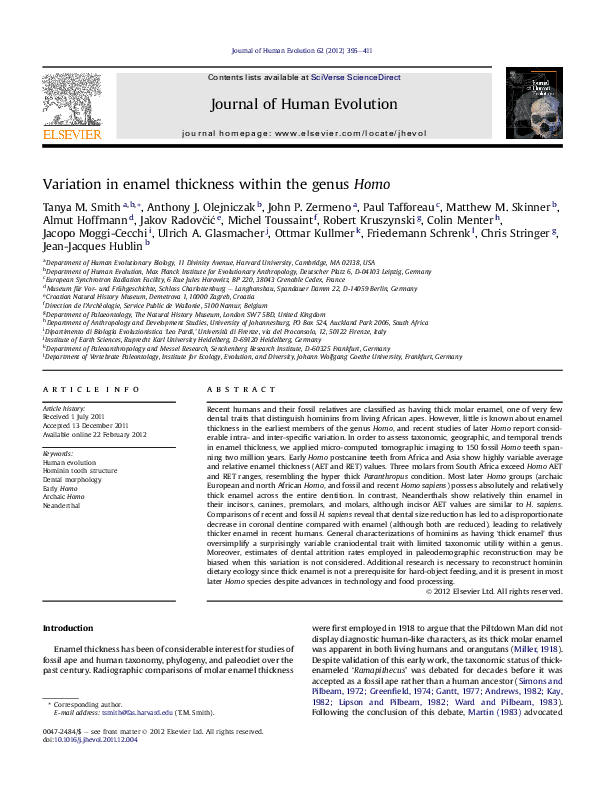 (PDF) Smith, T. et al. (2012) Variation in enamel thickness within the ...