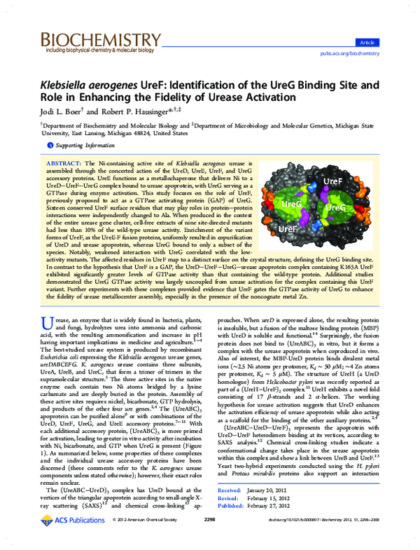 (PDF) Klebsiella aerogenes UreF: Identification of the UreG Binding ...