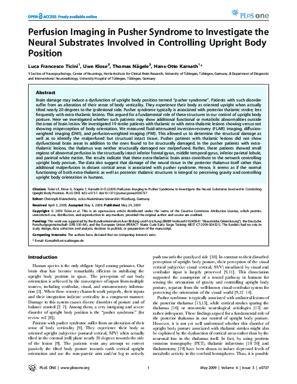 (PDF) Perfusion Imaging in Pusher Syndrome to Investigate the Neural ...