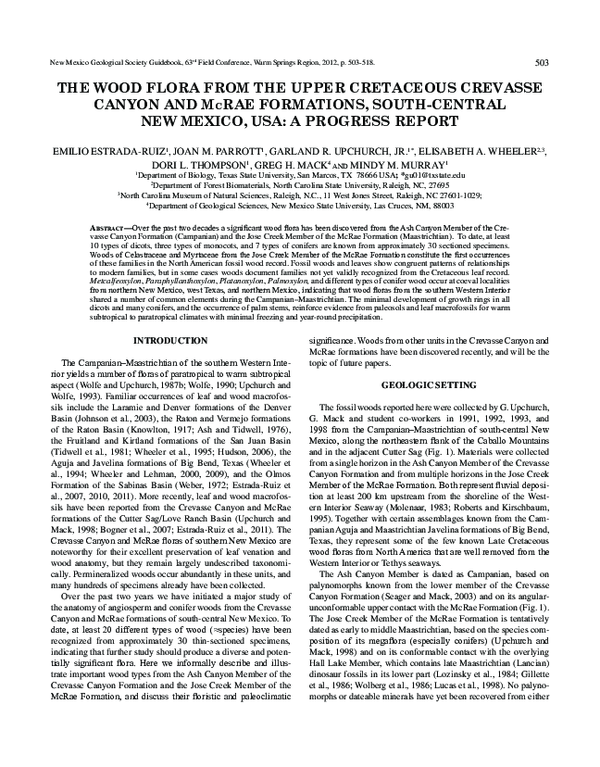 (PDF) Fossil woods from the late Campanian–early Maastrichtian Olmos ...