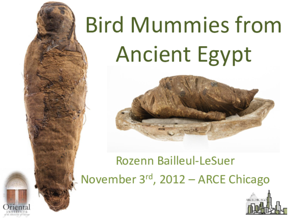 (PPT) ARCE Chicago - Bird Mummies in Ancient Egypt