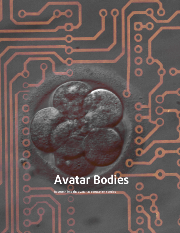 (PDF) MA-paper: Avatar Bodies: Research into the avatar as companion ...