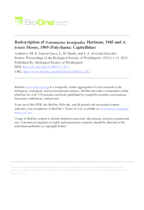 (PDF) Redescription of Notomastus hemipodus Hartman, 1945 and N. tenuis ...