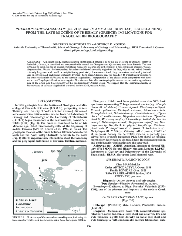 (PDF) Pheraios chryssomallos, gen. et sp. nov.(Mammalia, Bovidae ...