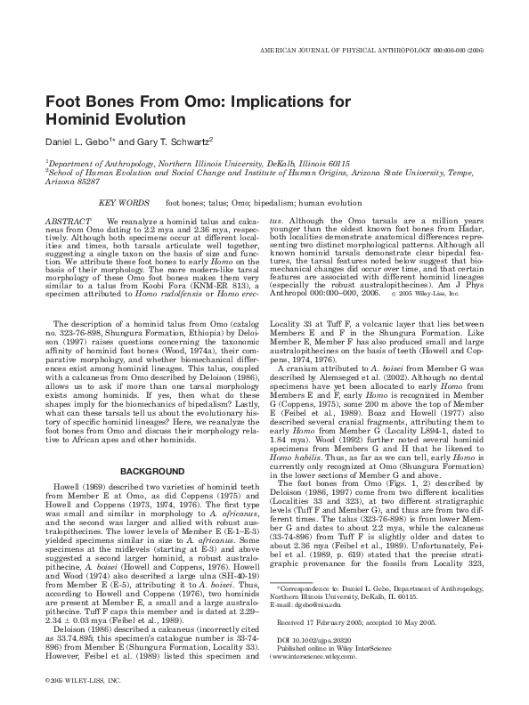 (PDF) Foot bones from Omo: implications for hominid evolution