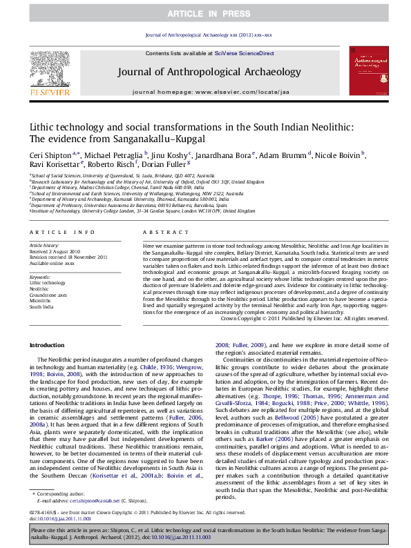(PDF) Lithic technology and social transformations in the South Indian ...