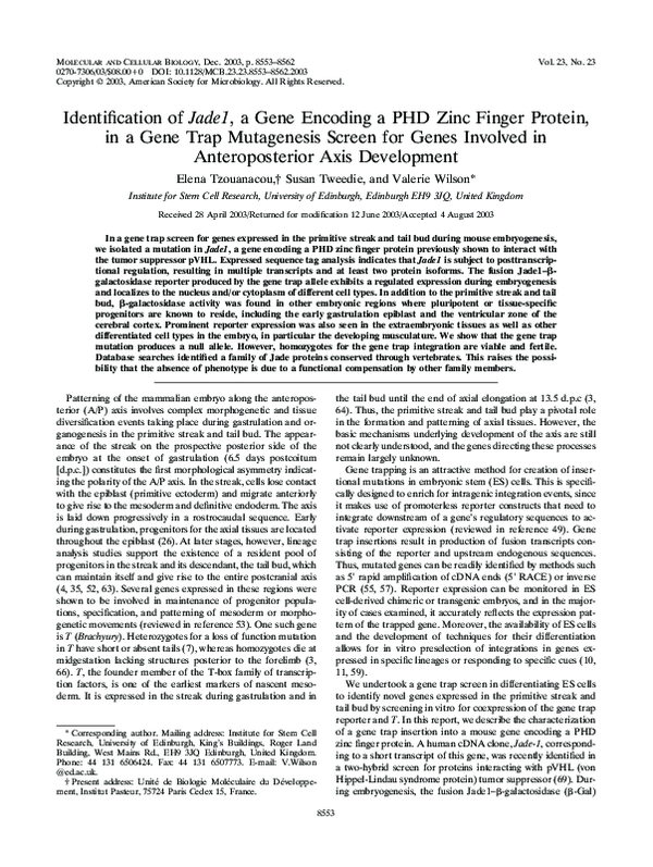 (PDF) Identification of Jade1, a Gene Encoding a PHD Zinc Finger ...