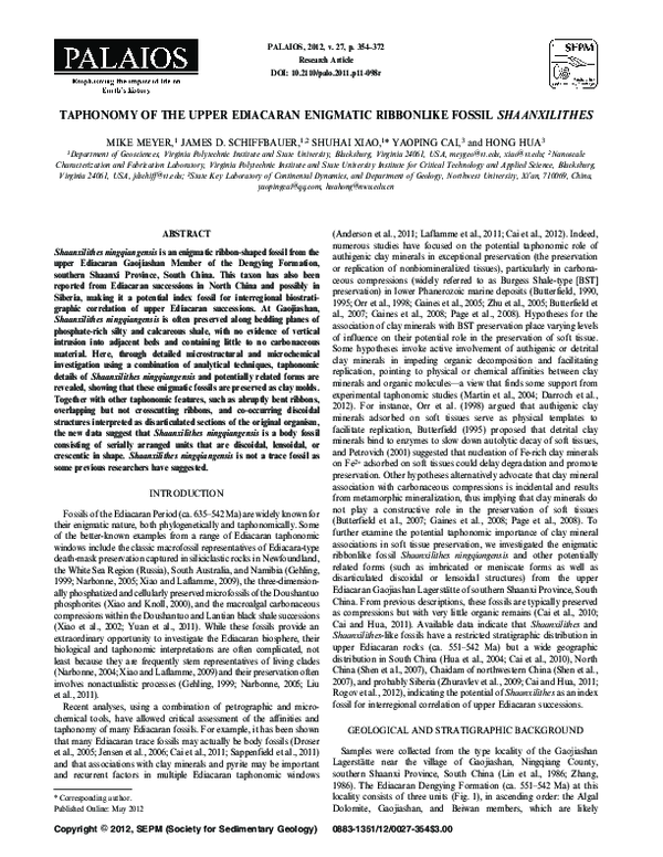 (PDF) TAPHONOMY OF THE UPPER EDIACARAN ENIGMATIC RIBBONLIKE FOSSIL ...