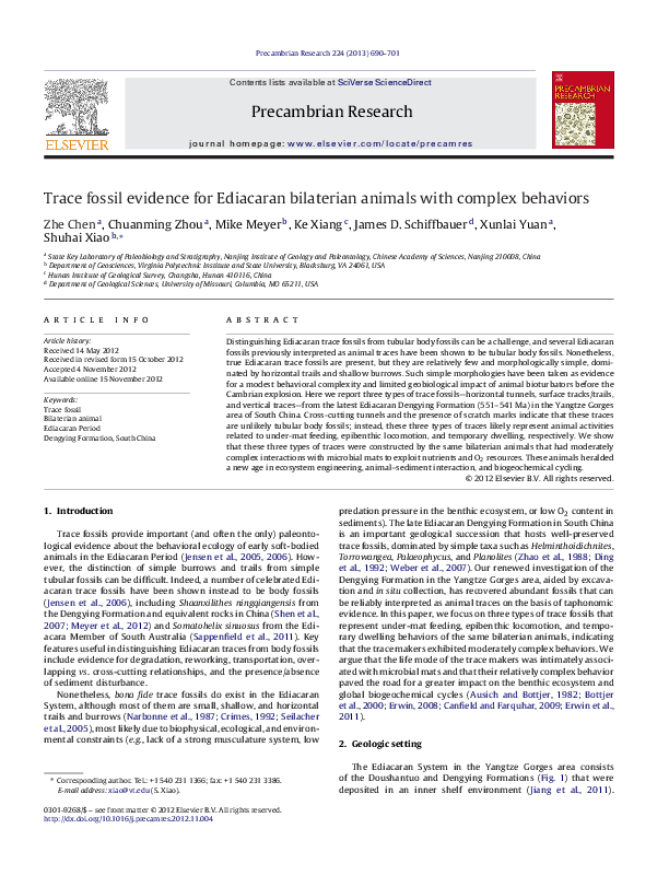(PDF) Trace fossil evidence for Ediacaran bilaterian animals with ...