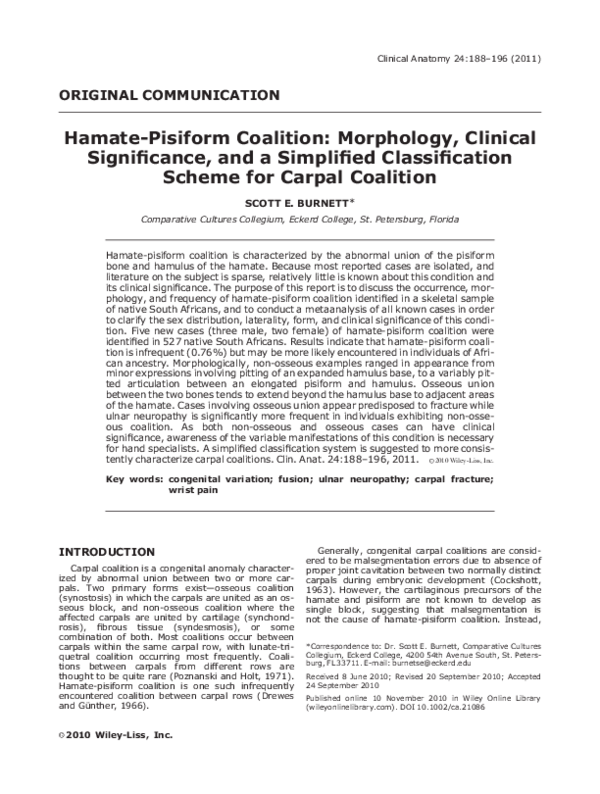 (PDF) Hamate‐pisiform coalition: Morphology, clinical significance, and ...