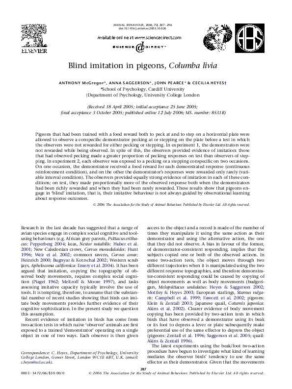 (PDF) Blind imitation in pigeons