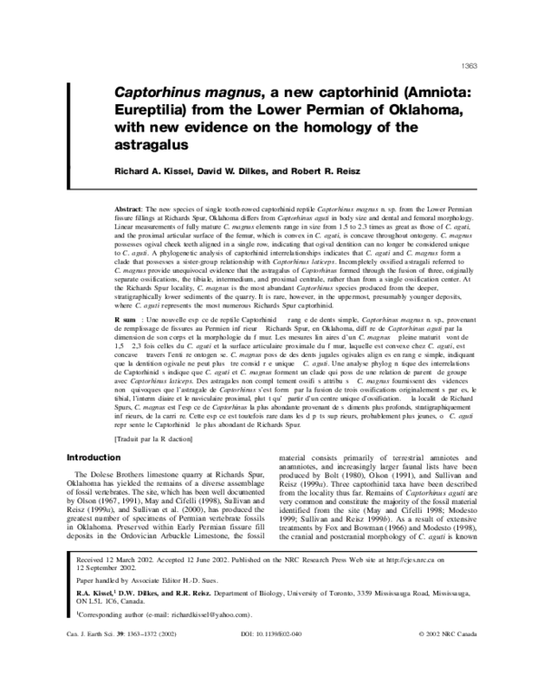 (PDF) Captorhinus magnus, a new captorhinid (Amniota: Eureptilia) from ...