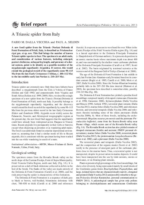 (PDF) A Triassic spider from Italy