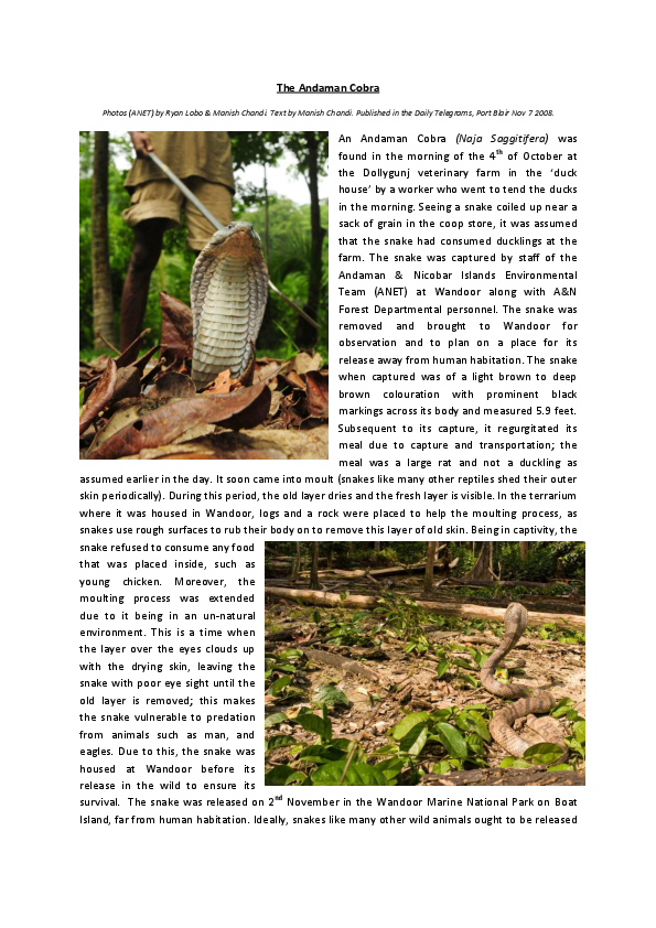 (PDF) The Andaman Cobra- in the Daily Telegrams News paper