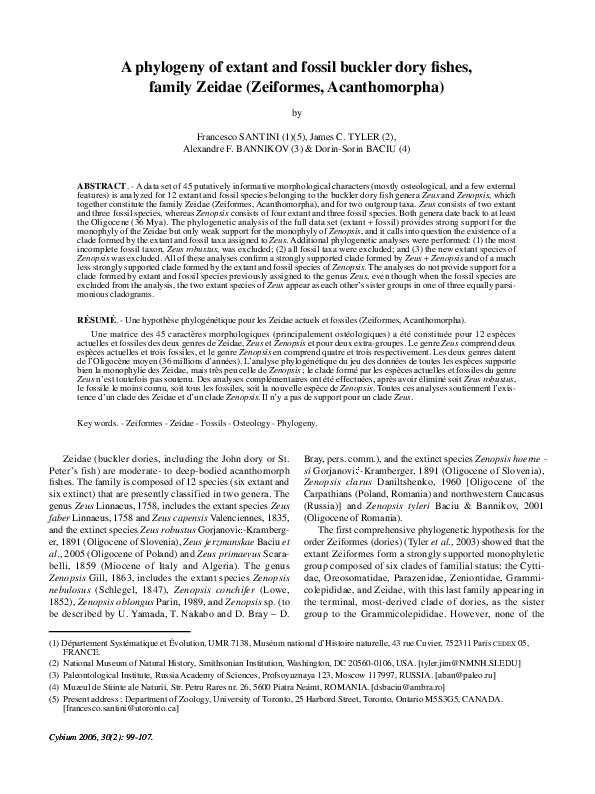 (PDF) A phylogeny of extant and fossil buckler dory fishes, family ...