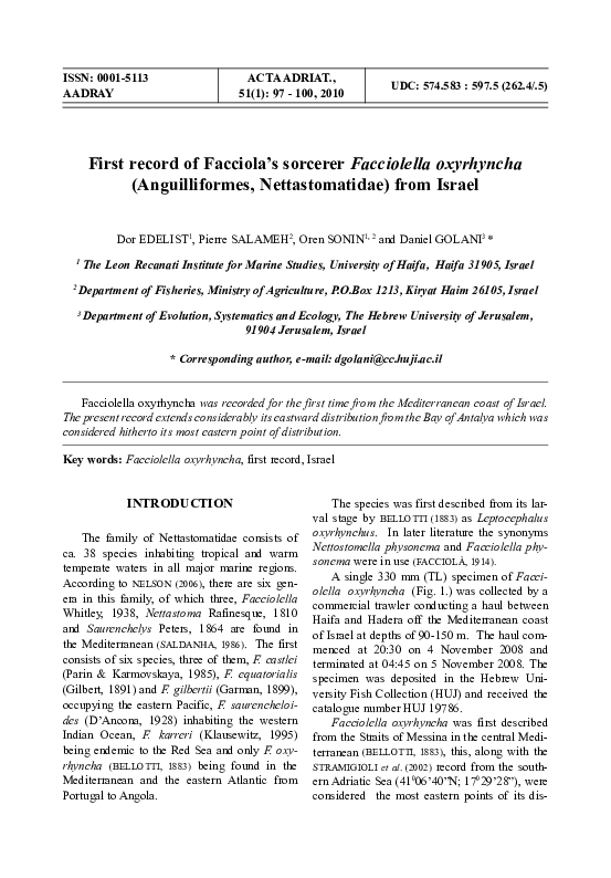 (PDF) Prvi nalaz čarobnog patkokljunića, Facciolella oxyrhyncha (Anguilliformes, Nettastomatidae ...