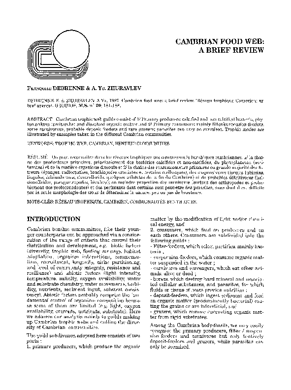 Cambrian food web: A brief review