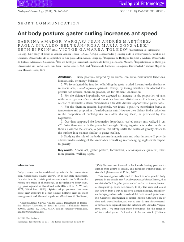 (PDF) Ant body posture: gaster curling increases ant speed
