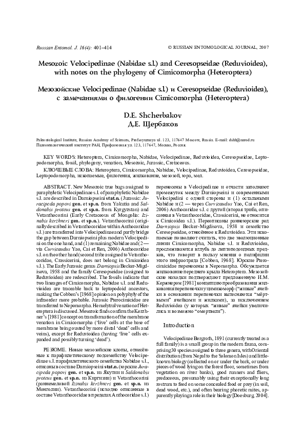 (PDF) Mesozoic Velocipedinae (Nabidae s.l.) and Ceresopseidae ...