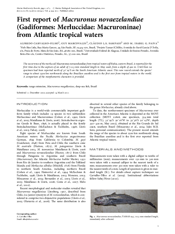 (PDF) First report of Macruronus novaezelandiae (Gadiformes ...