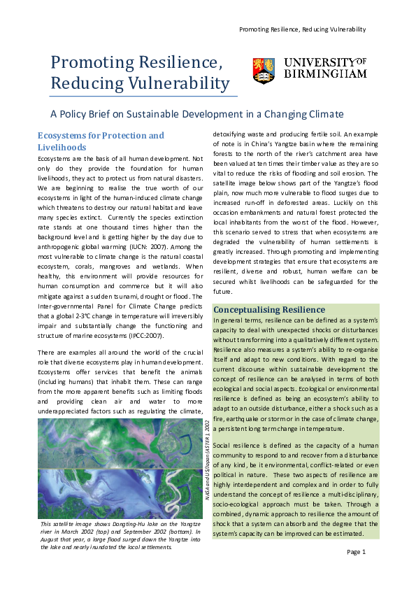 (PDF) Resilience and Sustainable Development: Promoting Resilience ...