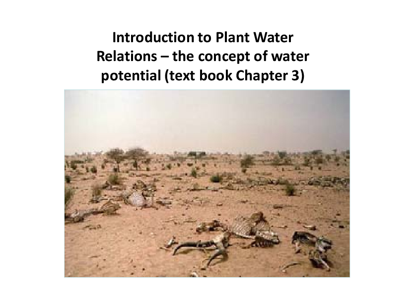 (PDF) Biol 204 Lecture 2 Water Relations (PDF) Biol 204 Lecture 2 Water Relations