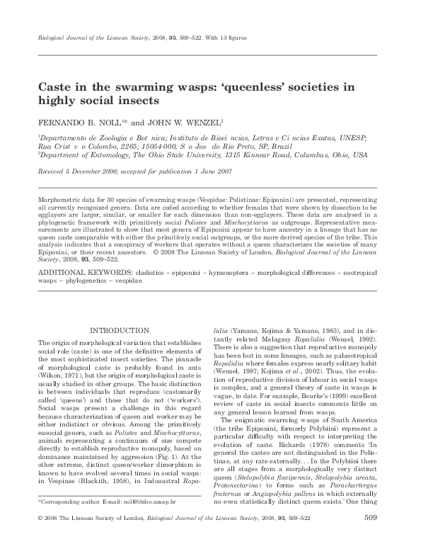(PDF) Caste in the swarming wasps:'queenless' societies in highly ...