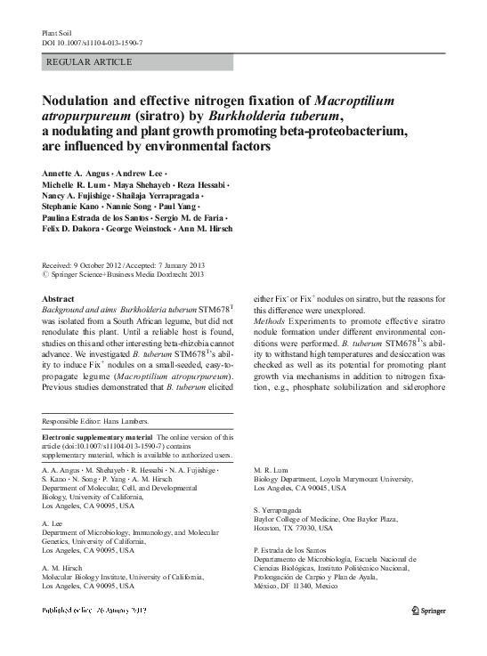 (PDF) Nodulation and effective nitrogen fixation of Macroptilium ...