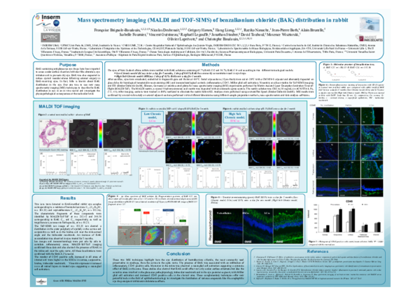 (PDF) Mass spectrometry imaging (MALDI and TOF-SIMS) of benzalkonium ...