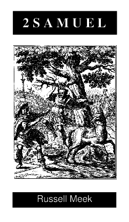 (PDF) 2 Samuel (Bible Briefs)