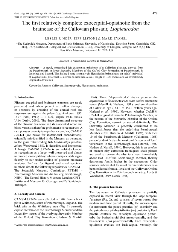 (PDF) The first relatively complete exoccipital-opisthotic from the ...