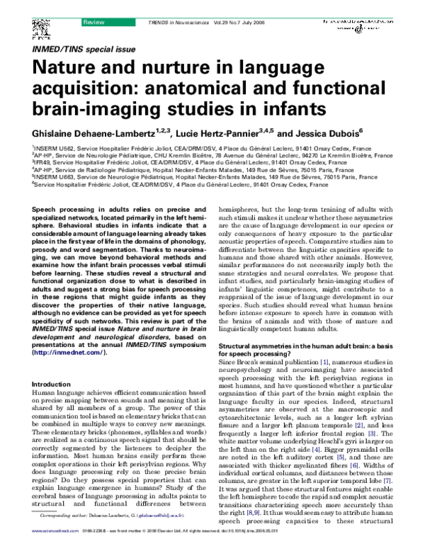 (PDF) Nature and nurture in language acquisition: anatomical and ...
